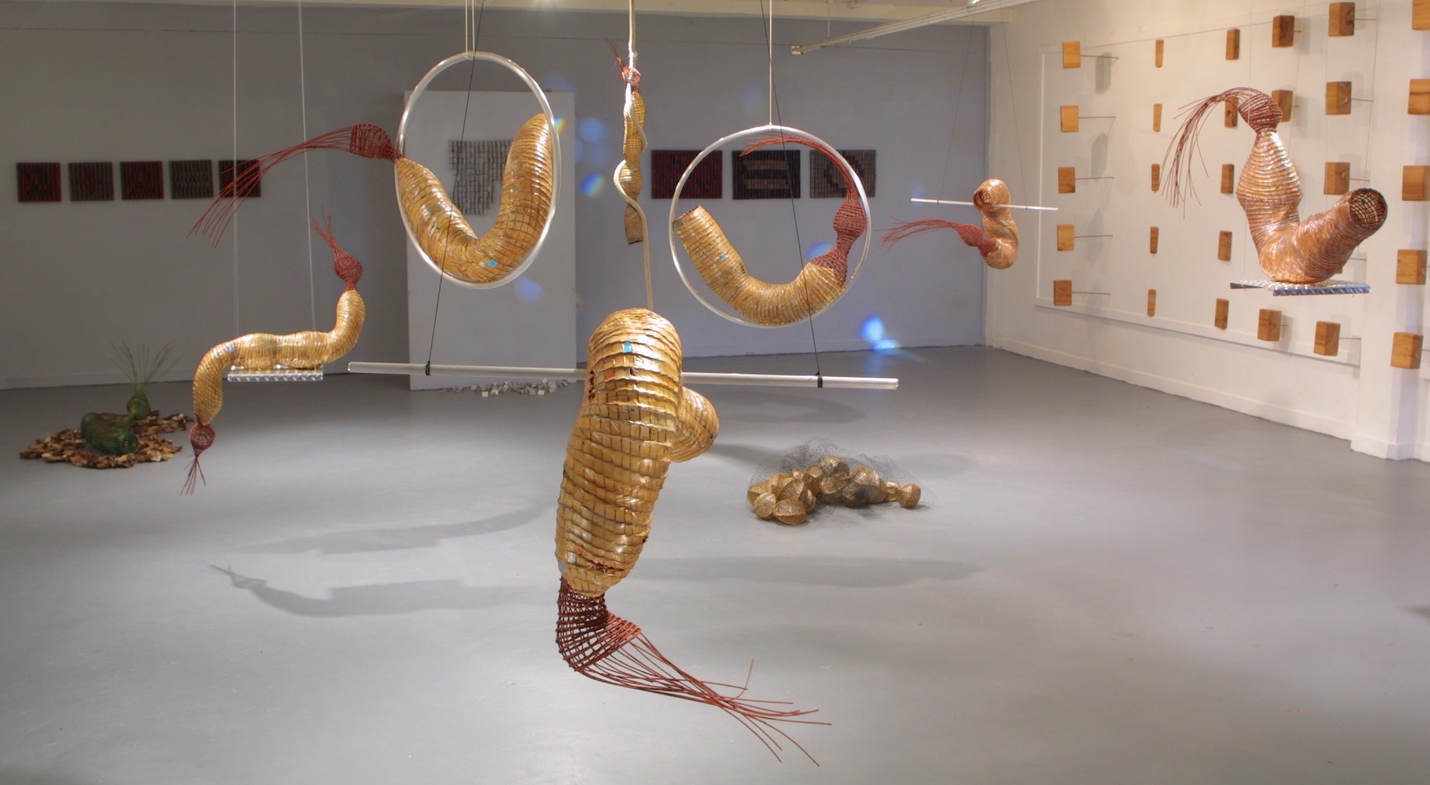 Installations – Cynthia Minden Artist